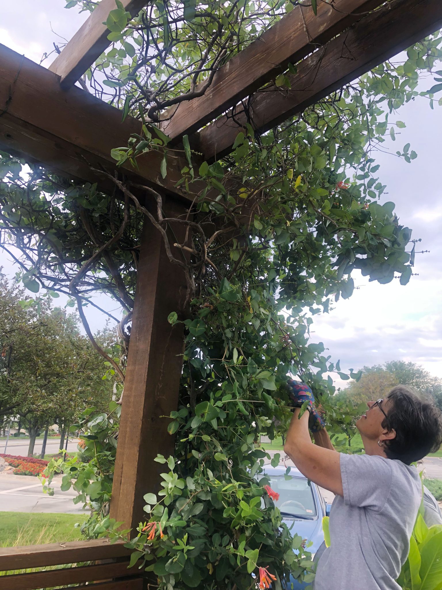 Partnering to Demonstrate Sustainability and Water Conservation ...